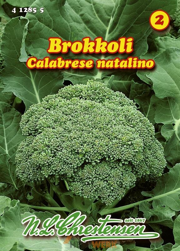 Brokkoli Calabrese natalino PG2