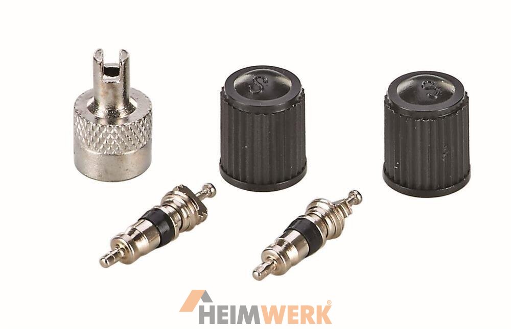 Autoventil-Einsätze 2er