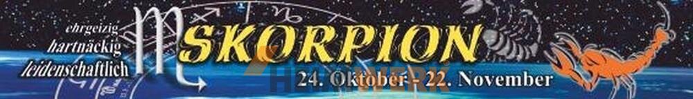 Zollstock 2m Skorpion